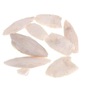 pinicecore natural cuttlefish bone for reptiles, cuttlebone tortoises, snails, birds food calcium pickstone pet