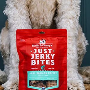 Stella & Chewy's Just Jerky Bites Real Salmon Recipe Dog Treats, 6 oz. Bag