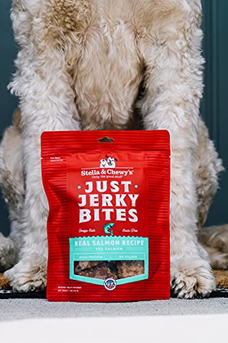 Stella & Chewy's Just Jerky Bites Real Salmon Recipe Dog Treats, 6 oz. Bag