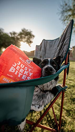 Stella & Chewy's Just Jerky Bites Real Salmon Recipe Dog Treats, 6 oz. Bag