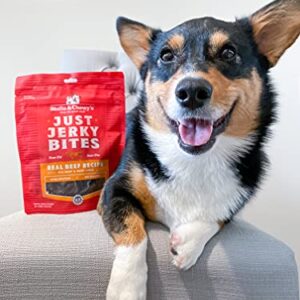 Stella & Chewy's Just Jerky Bites Real Salmon Recipe Dog Treats, 6 oz. Bag