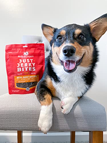 Stella & Chewy's Just Jerky Bites Real Salmon Recipe Dog Treats, 6 oz. Bag