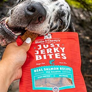 Stella & Chewy's Just Jerky Bites Real Salmon Recipe Dog Treats, 6 oz. Bag