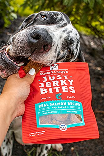 Stella & Chewy's Just Jerky Bites Real Salmon Recipe Dog Treats, 6 oz. Bag