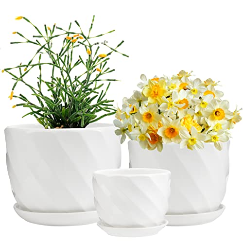 Laerjin Plant Pots, 4.05" & 5.51" & 6.77" Flower Pot, Ceramic Garden Plant Pots with Connected Saucer for Garden, Set of 3 in Different Sizes