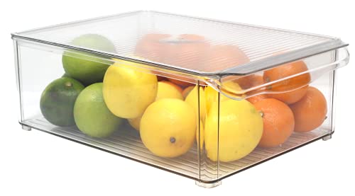 Plastic Food Storage Container Bin with Lid and Handle for Kitchen, Pantry, Cabinet, Fridge, Freezer - Organizer for Snacks, Produce, Vegetables