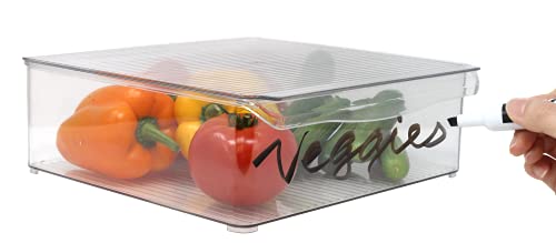 Plastic Food Storage Container Bin with Lid and Handle for Kitchen, Pantry, Cabinet, Fridge, Freezer - Organizer for Snacks, Produce, Vegetables