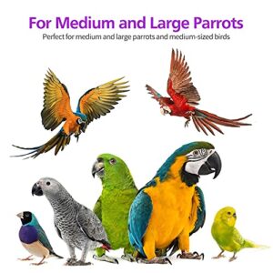 RUBY.Q Large Parrot Toy, 1/2/3 Pack 20in Bird Parrot Toy, Multicolored Natural Wooden Bird Chewing Toys for Large Macaws, African Grey and a Variety of Amazon Parrots