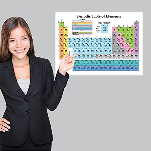 Palace Learning 3 Pack - Periodic Table of the Elements Poster [White] + Muscular & Skeletal System Anatomy Charts (LAMINATED, 18" x 24")