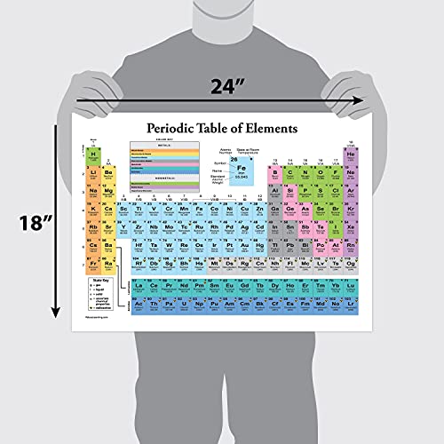 Palace Learning 3 Pack - Periodic Table of the Elements Poster [White] + Muscular & Skeletal System Anatomy Charts (LAMINATED, 18" x 24")