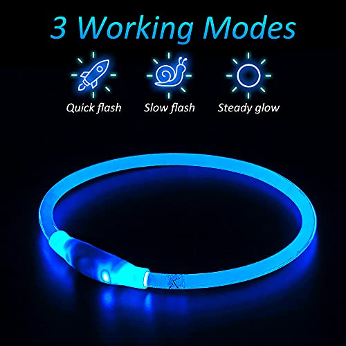 iTayga LED Dog Collar USB Rechargeable Light Up Dog Collar Adjustable TPU Pet Collars for Large Medium and Small Dogs (Blue)