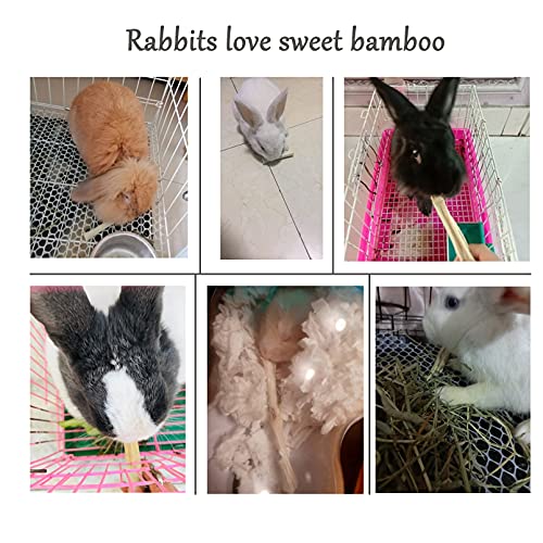 Hamiledyi Rabbit Litter Box Toilet, Pets Plastic Square Rabbit Cage Potty Trainer Corner with Small Animal Cage Clean Broom Molar Sweet Bamboo for Bunny Chinchillas Guinea Pigs (Blue)