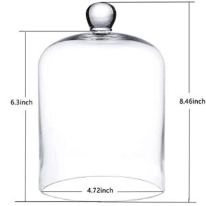 RenRenLe 8.5X4.7 Inches Cloche Glass Dome Glass Cloche Bell Jar Bell Dome Glass Display Cover for Dessert Foods Candles (Interior Size 6.3 x 4.7 Inches)