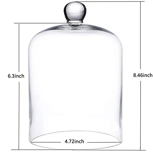 RenRenLe 8.5X4.7 Inches Cloche Glass Dome Glass Cloche Bell Jar Bell Dome Glass Display Cover for Dessert Foods Candles (Interior Size 6.3 x 4.7 Inches)