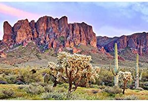 AWERT 36x18 inches Terrarium Background Blue Sky Cloud Mountain Huge Cactus Joshua Trees Oasis Gobi Reptile Habitat Background Durable Polyester Background