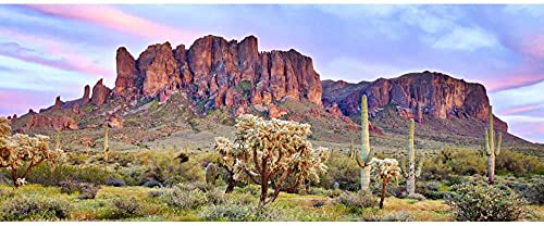 AWERT 36x18 inches Terrarium Background Blue Sky Cloud Mountain Huge Cactus Joshua Trees Oasis Gobi Reptile Habitat Background Durable Polyester Background