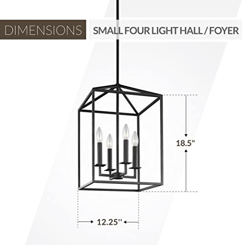 Generation Lighting 5215004-112 Perryton Small Four - Light Hall/Foyer Hanging Modern Fixture, Midnight Black