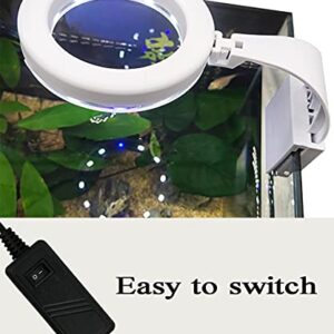 GVOREE 5W Mini Fish Tank Light White Clip-on Aquarium Lights for Small Betta Fish Tank,Round Light Aquatic Plant Lighting (White Body + Blue LED Light) Suitable for Small Fish Tanks