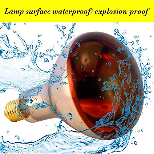 BONGBADA Heat Lamp Bulb R40 100 Watt 2 Pack Painted Red Infrared Glass Lamp Bulb for Food Service, Brooder Bulb, Chicks, Pet, Bathroom (Red Painted-1.0 Version, R40/125W)