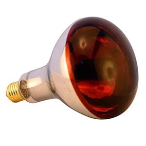 BONGBADA Heat Lamp Bulb R40 100 Watt 2 Pack Painted Red Infrared Glass Lamp Bulb for Food Service, Brooder Bulb, Chicks, Pet, Bathroom (Red Painted-1.0 Version, R40/125W)