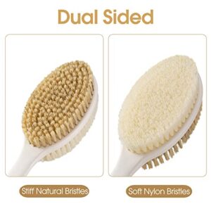 Back Scrubber Anti Slip Long Handle for Shower, Dual-Sided Back Brush with Stiff and Soft Bristles,Body Exfoliator for Bath or Dry Brush.