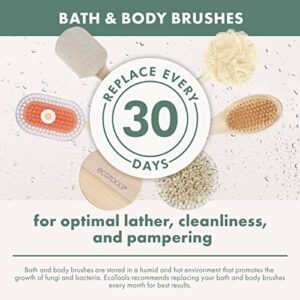 EcoTools Dry Body Brush, For Post Shower & Bath Skincare Routine, Removes Dirt & Promotes Blood Circulation, Helps Reduce Appearance of Cellulite, Eco-Friendly, Vegan & Cruelty-Free, 1 Count