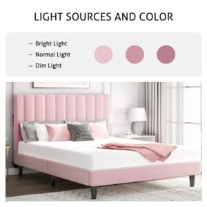 SHA CERLIN Queen Size Vertical Channel Platform Bed Frame/Velvet Upholstered Bed Frame with Headboard/Strong Wood Slats Support/Mattress Foundation/No Box Spring Needed/Pink