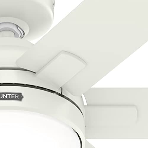 Hunter Fan 44 Inch Casual Fresh White Finish Indoor Ceiling Fan With Light Kit and Remote Control (Renewed)