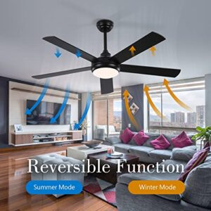 VACILL Low Profile Ceiling Fan with Light Black 52 inch,6 Speed Levels,LED Dimmable,for Farmhouse/Bedroom/Living Room