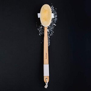 Long Handle Bath Brush for Shower - 20 inch - Back Brush, Shower Brush, Detachable Natural Stiff Bristle Back Scrubber. Great Gift for Men & Women or Elderly (Regular Bristles)