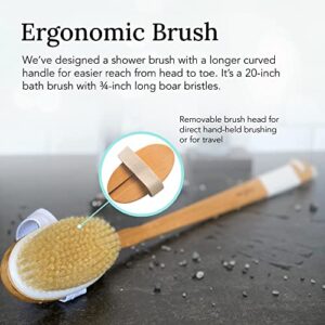 Long Handle Bath Brush for Shower - 20 inch - Back Brush, Shower Brush, Detachable Natural Stiff Bristle Back Scrubber. Great Gift for Men & Women or Elderly (Regular Bristles)