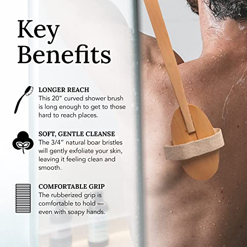 Long Handle Bath Brush for Shower - 20 inch - Back Brush, Shower Brush, Detachable Natural Stiff Bristle Back Scrubber. Great Gift for Men & Women or Elderly (Regular Bristles)