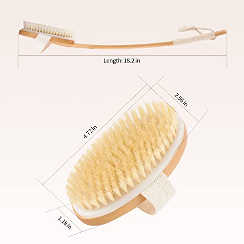 Shower Back Brush, 2 Heads 18.2 inch Bath Brush Long Handle for Shower, Body Bath Brush with Stiff and Soft Bristles, Back Scrubber for Shower for Men and Women