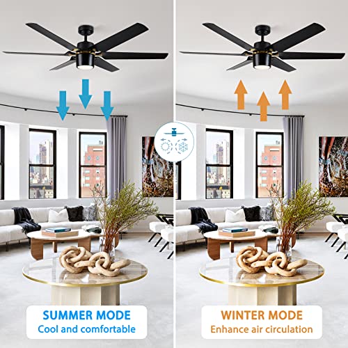 60 inch Large Ceiling Fan with Light and Remote, Modern Black Ceiling Fans with Gold Alloy, Dimmable 3-Color Temperature Reversible Blades 6 Speed Quiet DC Motor for Bedroom Living Room Hall etc