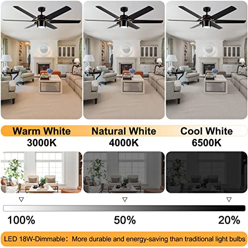 60 inch Large Ceiling Fan with Light and Remote, Modern Black Ceiling Fans with Gold Alloy, Dimmable 3-Color Temperature Reversible Blades 6 Speed Quiet DC Motor for Bedroom Living Room Hall etc