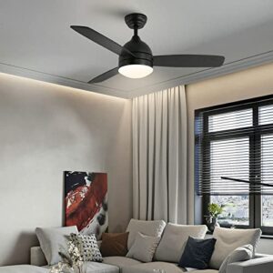 warmiplanet Ceiling Fan with Lights Remote Control, 48-Inch, Black, Silent Motor, 3-Blades