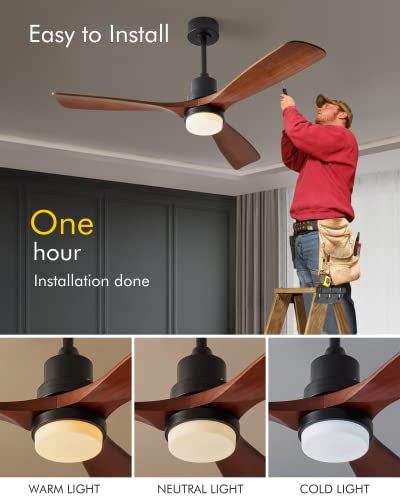 Chriari Ceiling Fans with Lights, 3 Wood Fan Blades, 52" Black Modern Ceiling Fan with Remote Control, Noiseless Reversible DC Motor for Bedroom/Living Room/Study/Patio