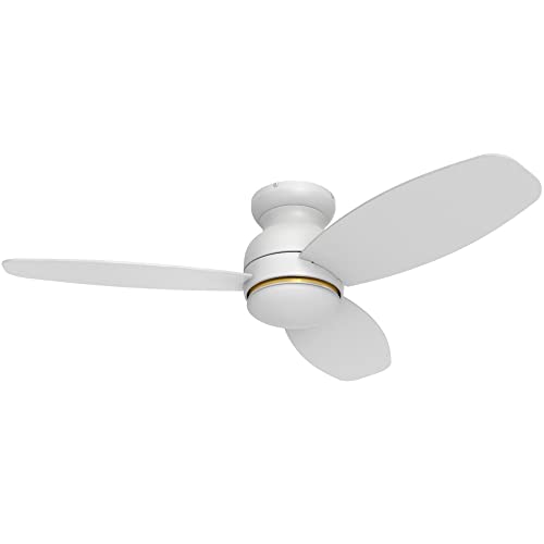 Ceiling Fan with Lights, Indoor & Outdoor,48in Low Profile DC Smart Ceiling Fan Compatible with Alexa, Siri, Google Home & Smart APP, 2 Colors of Reversible Blades, White Gold