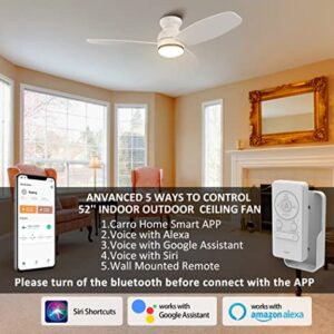 Ceiling Fan with Lights, Indoor & Outdoor,48in Low Profile DC Smart Ceiling Fan Compatible with Alexa, Siri, Google Home & Smart APP, 2 Colors of Reversible Blades, White Gold