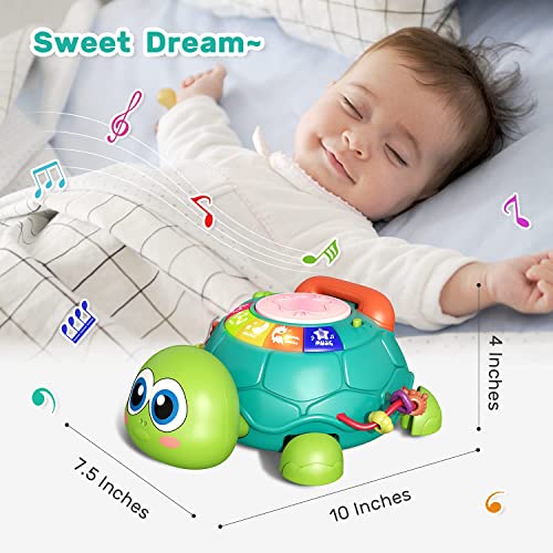 CUTE STONE Baby Toys 6 to 12 Months, Musical Turtle Crawling Baby Toys for 12-18 Months, Early Learning Educational Toy with Light & Sound,Toy for Infant Toddler Boy Girl 7 8 9 10 11 12 Month