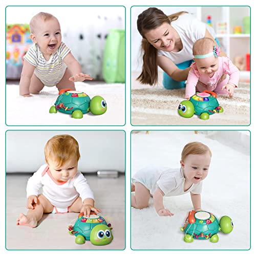 CUTE STONE Baby Toys 6 to 12 Months, Musical Turtle Crawling Baby Toys for 12-18 Months, Early Learning Educational Toy with Light & Sound,Toy for Infant Toddler Boy Girl 7 8 9 10 11 12 Month