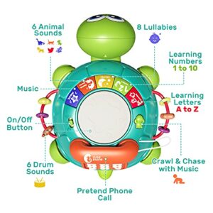 CUTE STONE Baby Toys 6 to 12 Months, Musical Turtle Crawling Baby Toys for 12-18 Months, Early Learning Educational Toy with Light & Sound,Toy for Infant Toddler Boy Girl 7 8 9 10 11 12 Month