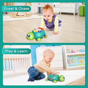 CUTE STONE Baby Toys 6 to 12 Months, Musical Turtle Crawling Baby Toys for 12-18 Months, Early Learning Educational Toy with Light & Sound,Toy for Infant Toddler Boy Girl 7 8 9 10 11 12 Month