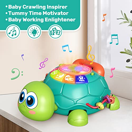 CUTE STONE Baby Toys 6 to 12 Months, Musical Turtle Crawling Baby Toys for 12-18 Months, Early Learning Educational Toy with Light & Sound,Toy for Infant Toddler Boy Girl 7 8 9 10 11 12 Month