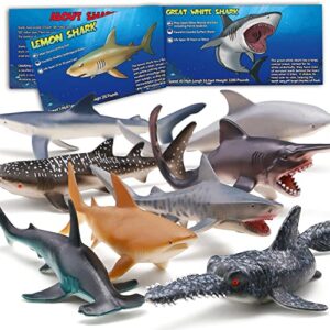 yeonha toys 8 pack shark toys with educational booklet, soft plastic realistic shark figure set for kid, ocean sea animal party favor, pool bath tub toy for toddler child boy girl, birthday gift