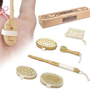 body brush - 5 in 1 wet or dry brush, back brush, shower & bath brush scrubber with non-slip long handle, exfoliating face brush massager, sisal bag, cellulite massager, natural bristle, gift set