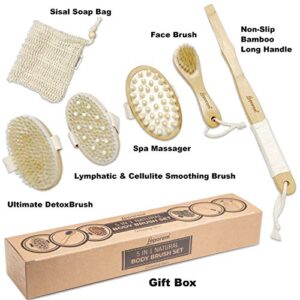 Body Brush - 5 in 1 Wet or Dry Brush, Back Brush, Shower & Bath Brush Scrubber with Non-Slip Long handle, Exfoliating Face Brush Massager, Sisal Bag, Cellulite Massager, Natural Bristle, Gift Set