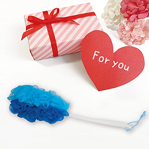 Back Brushes for Showering [ Japan Import ] 2-Textures-in-1 Back Loofah, Shower Back Brush for Men, Women, Gift, and Bath [ Long Handle Scrubber ] (Blue)