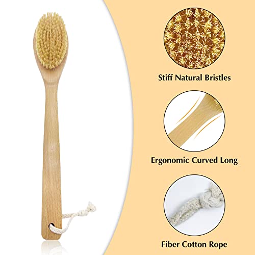 CARELAX Back Scrubber Brush,Long Handle Bath Brush for Shower, Soft but Stiff Shower Bristles and Pumice Stone Brush, Body Exfoliating Brush for Wet or Dry Brushing