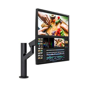 LG 28" SDQHD 16:18 DualUp Monitor with USB Type-C